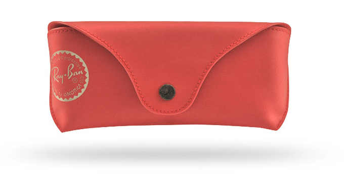 Ray ban case store